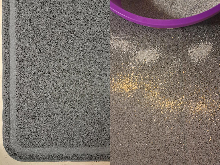 The 5 best cat litter mats that reduce scatter and tracking