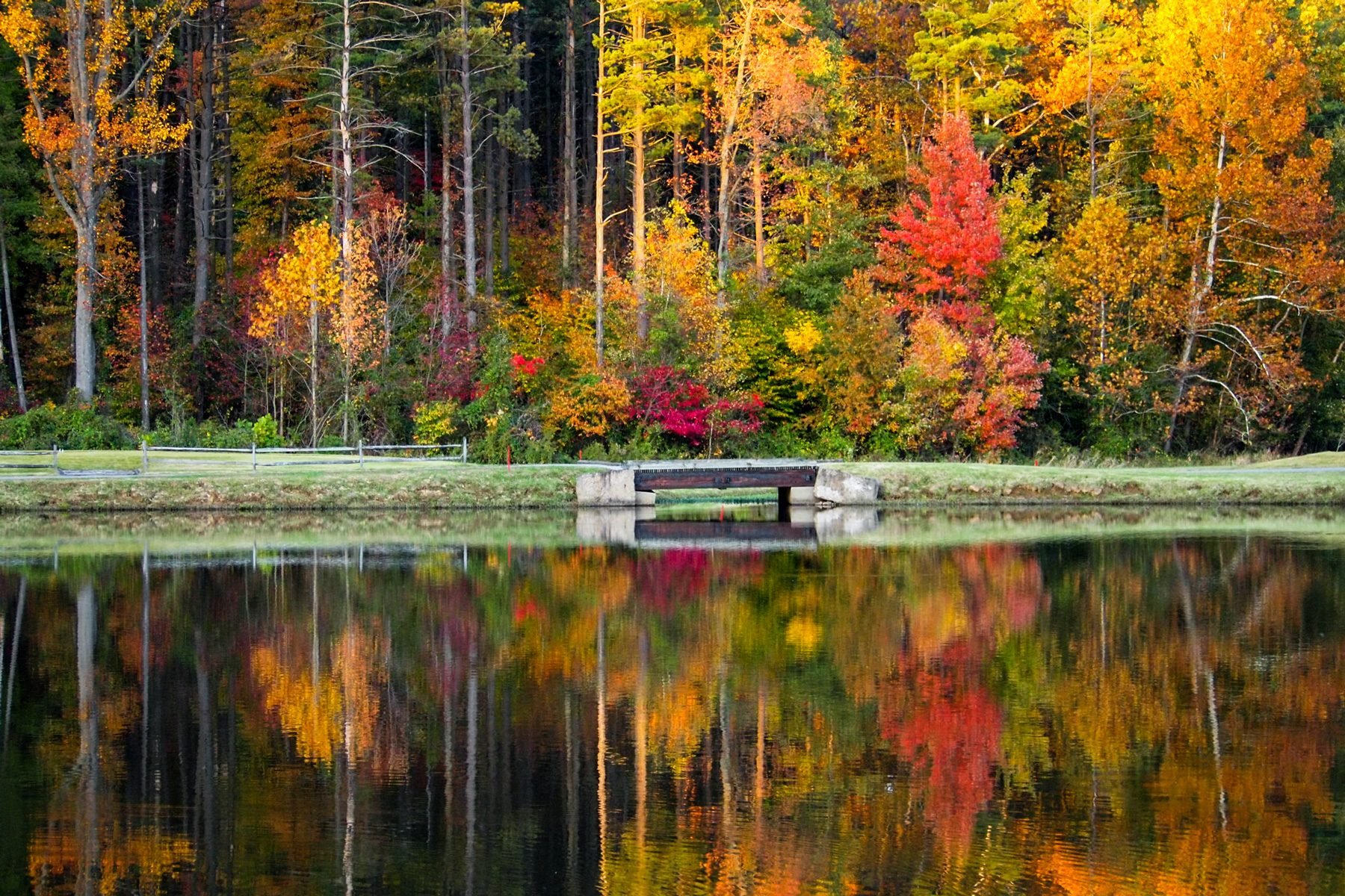 28 Best Places to See Fall Foliage in America