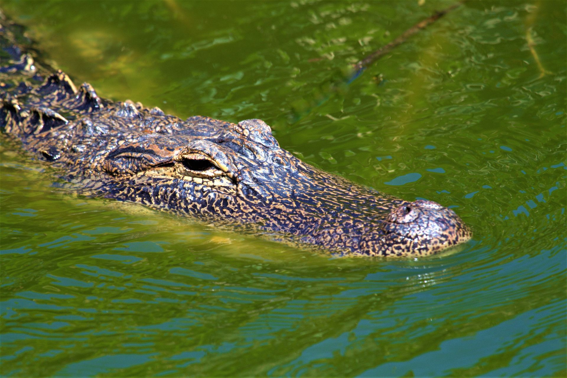 A sight to behold: the longest bridges on Earth