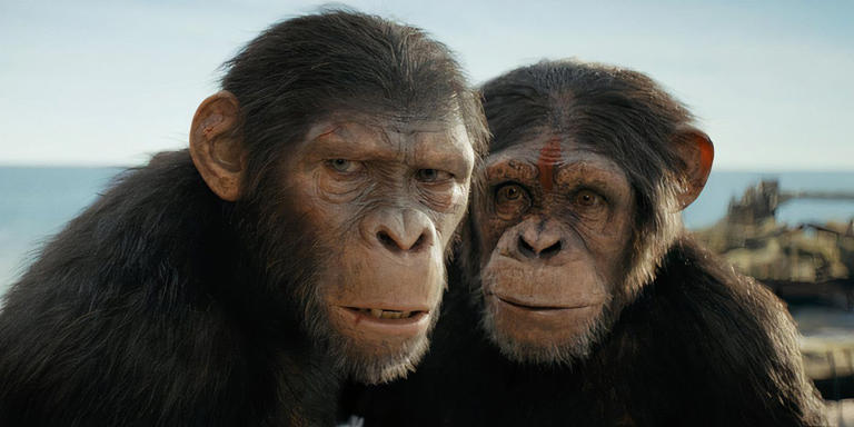 Caesars Scene In Kingdom Of The Planet Of The Apes Proved Disney Made The Right Decision After ...