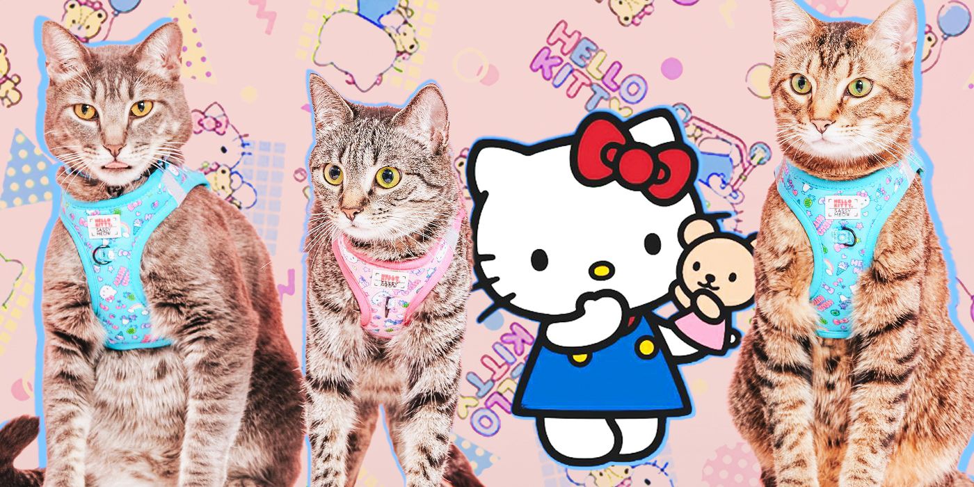 Hello Kitty Isn't Actually a Cat – & This Wild Fact Still Blows Fans’ Minds