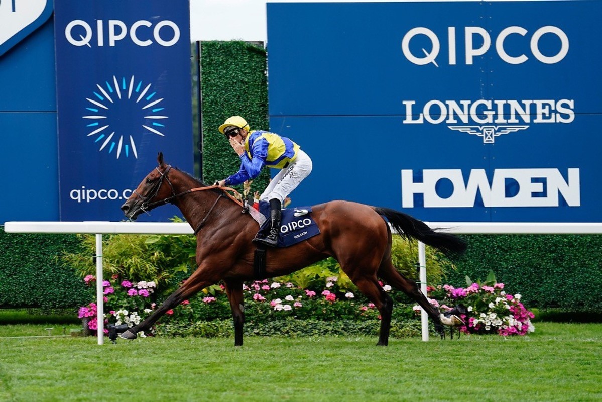 Resolute Racing’s Goliath Possible For Breeders’ Cup, Japan Cup After ...