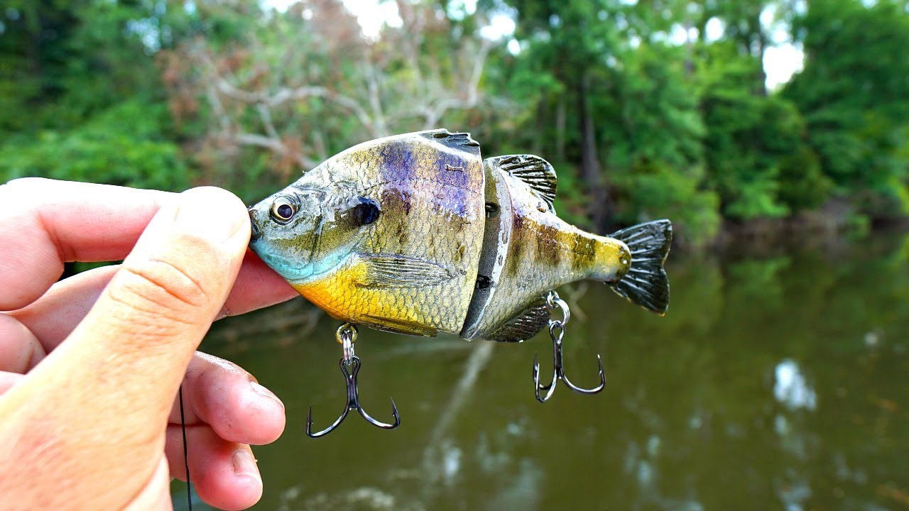 "Realistic Imitation, Brutal Attack: A Swimbait's Demise"