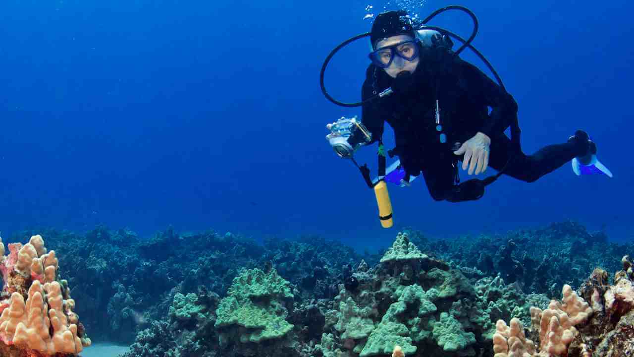 Top 10 Scuba Diving Destinations for Adventure Seekers
