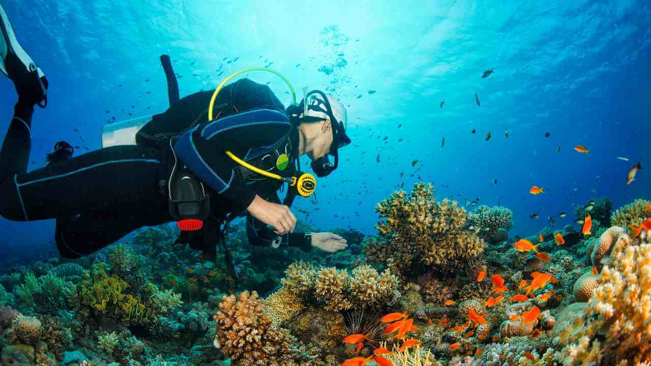 Top 10 Scuba Diving Destinations for Adventure Seekers