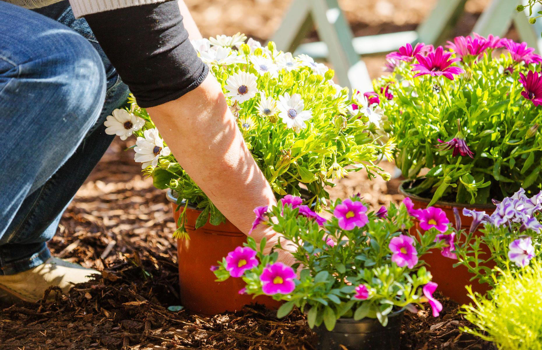 Transform your garden with these 56 easy hacks Transform your garden with these 56 easy hacks
