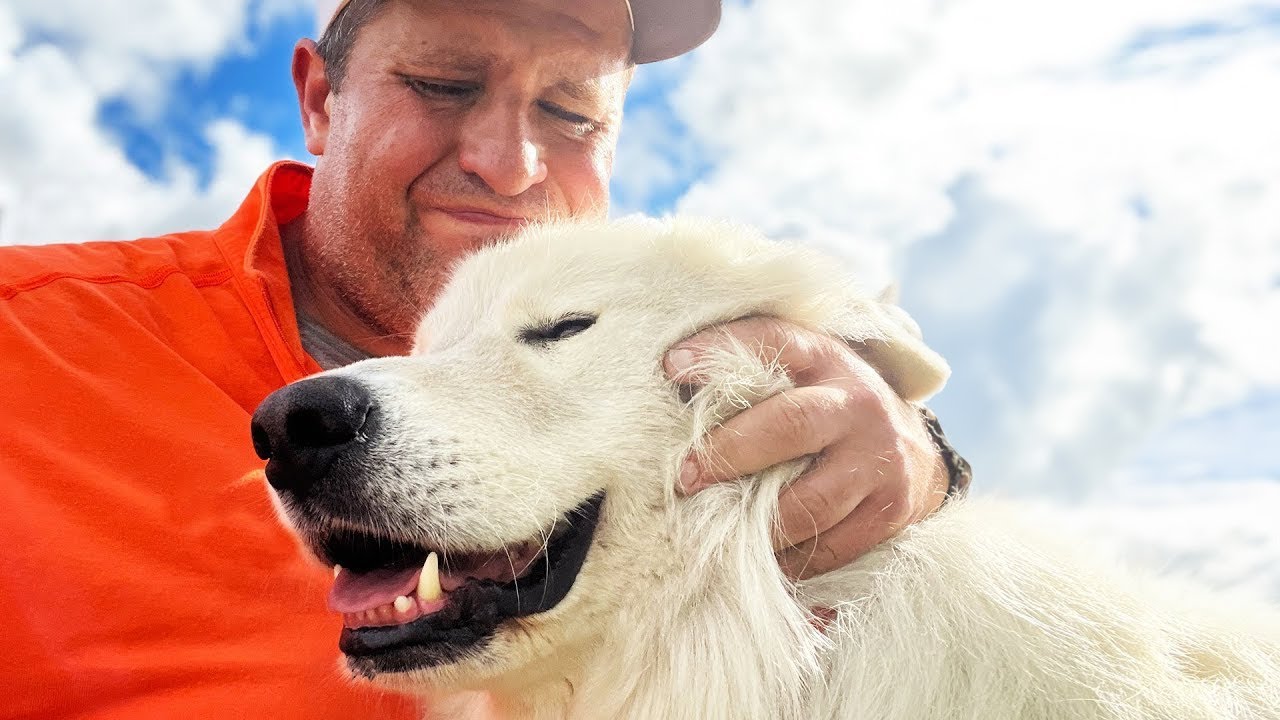 How a dog completely changed how I run my farm