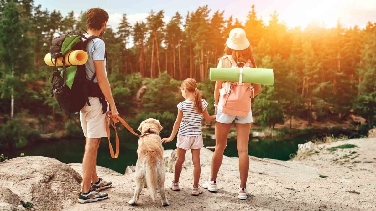 12 Lesser-Known Dog Breeds That Make Amazing Family Pets