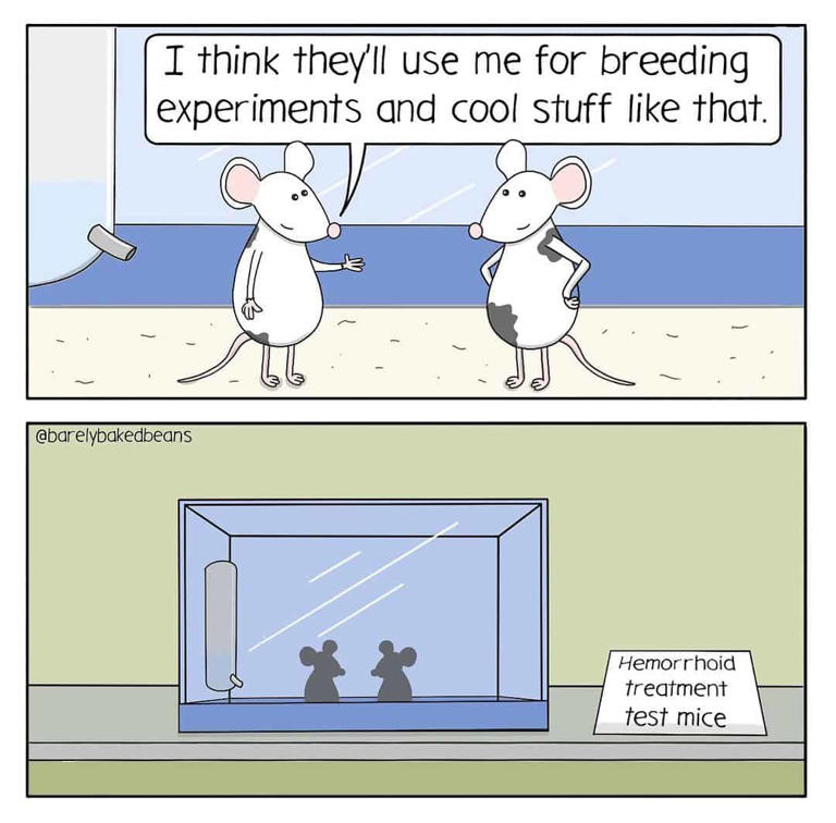 35 Funny And Offbeat Comics From 'Barely Baked Beans'