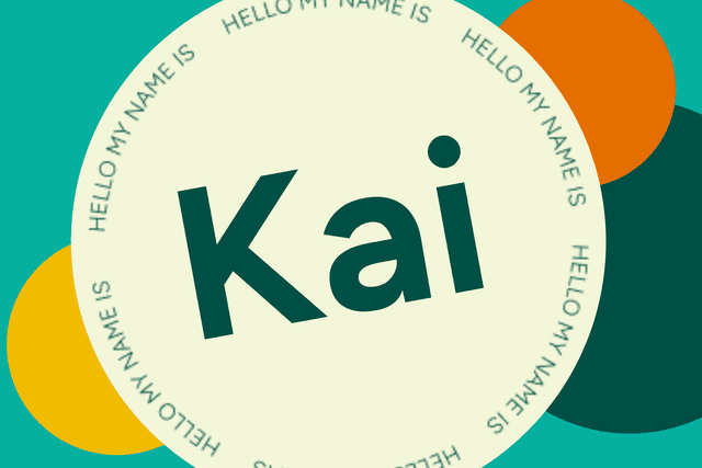 Kai Name Meaning