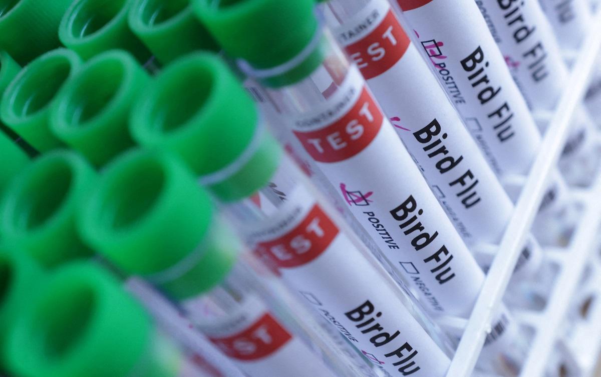 PH bans import of poultry, birds from 2 US states