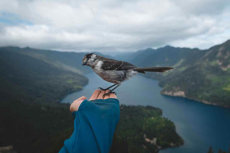 Hiking Mount Storm King in Olympic National Park, WA