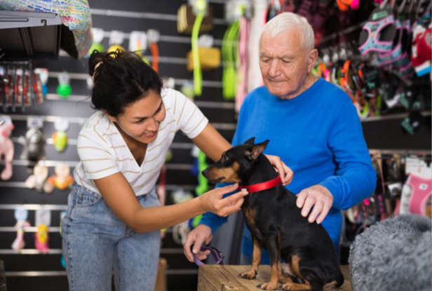 15 Crucial Factors in Choosing the Right Dog Breed 15 Crucial Factors in Choosing the Right Dog Breed