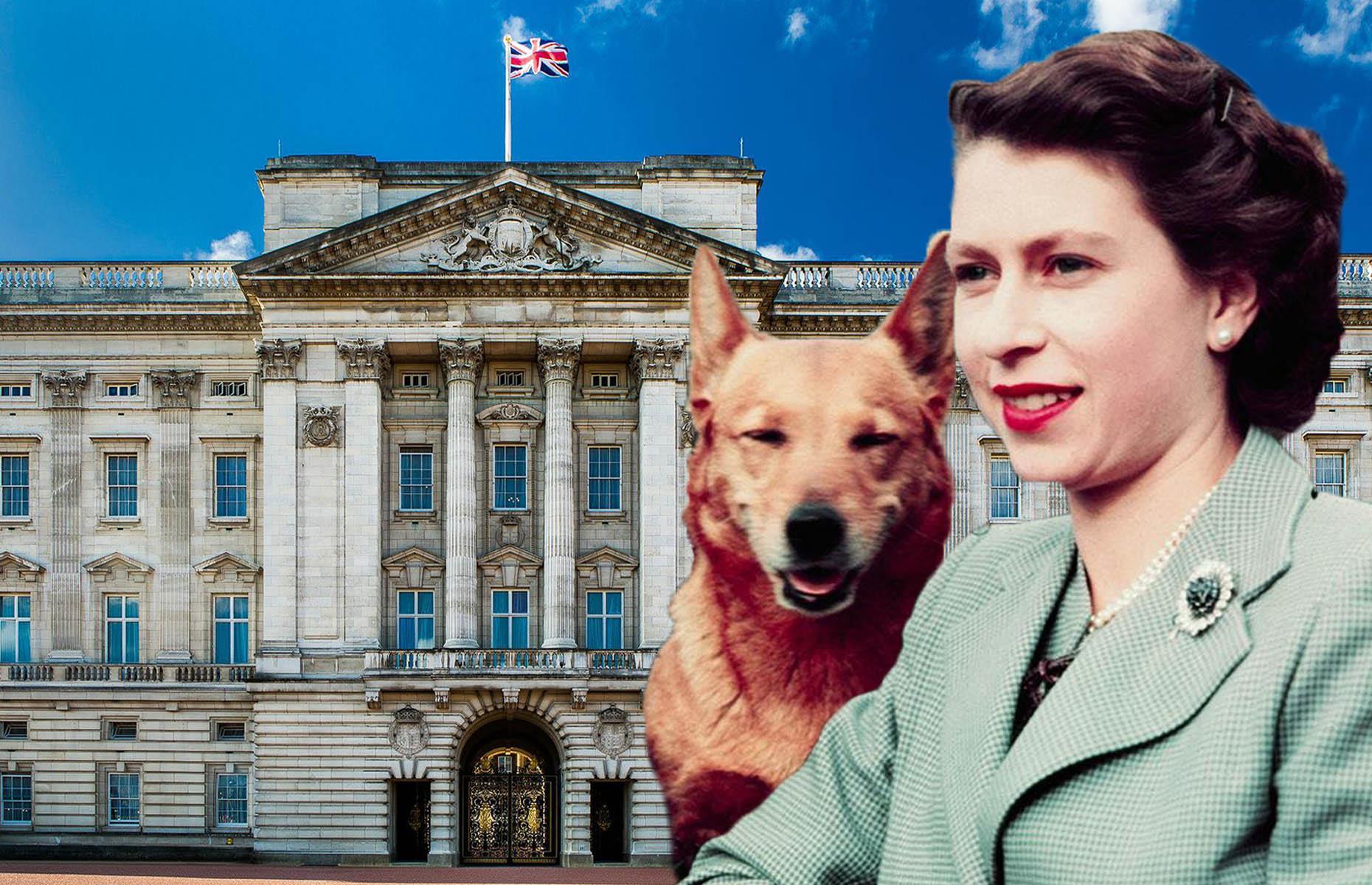 Discover the British royal family's most beloved pets