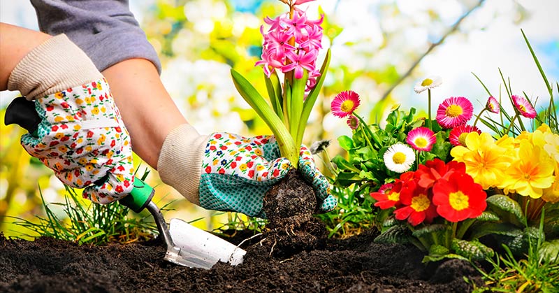 10 Reasons Why Gardening Can Help Reduce Stress And Depression