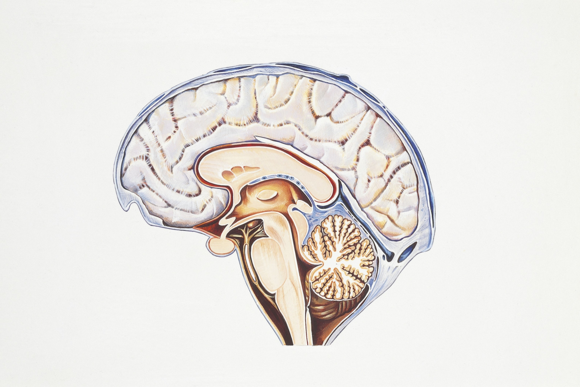 The six types of depression, according to science