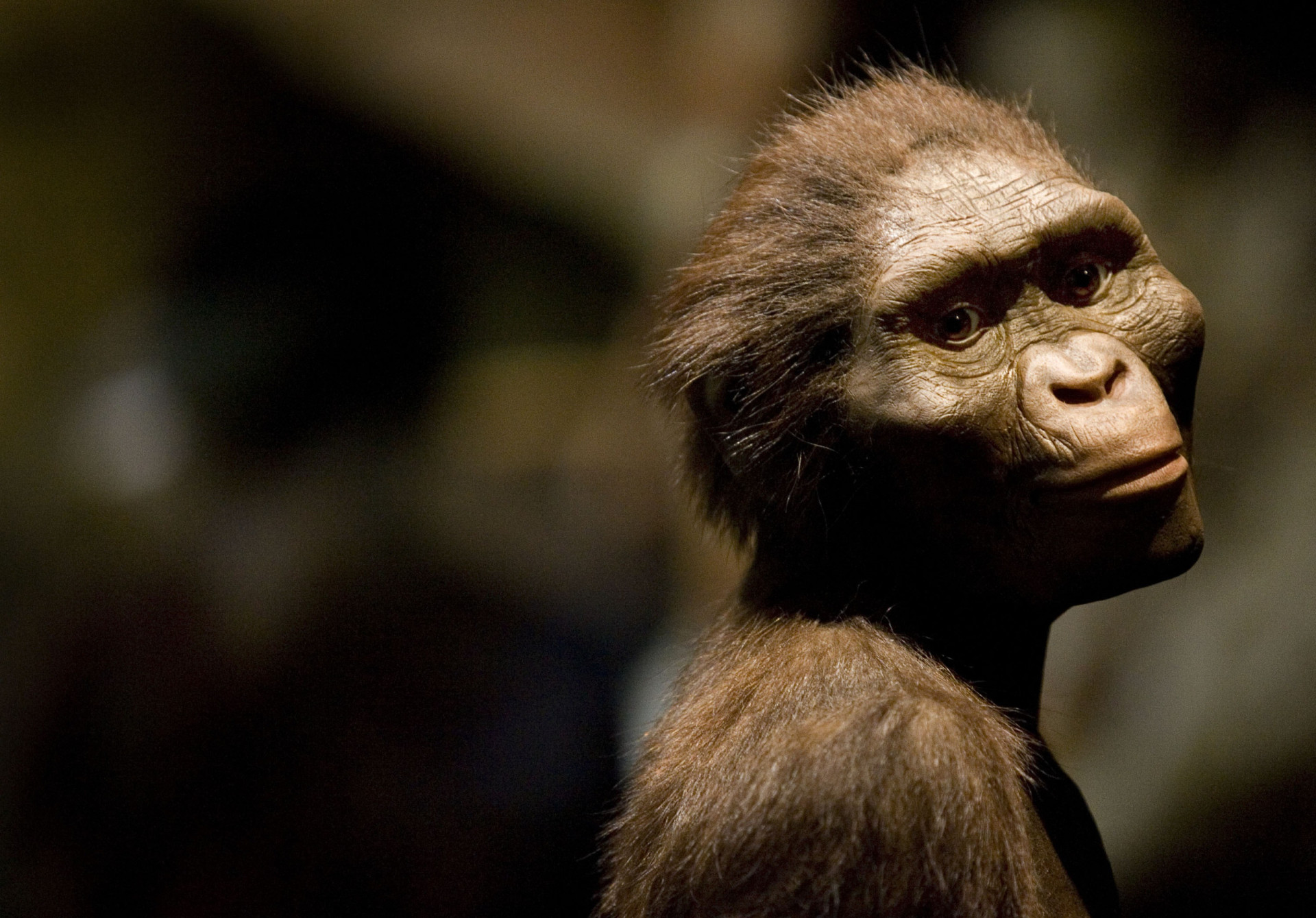 When did humans become human?