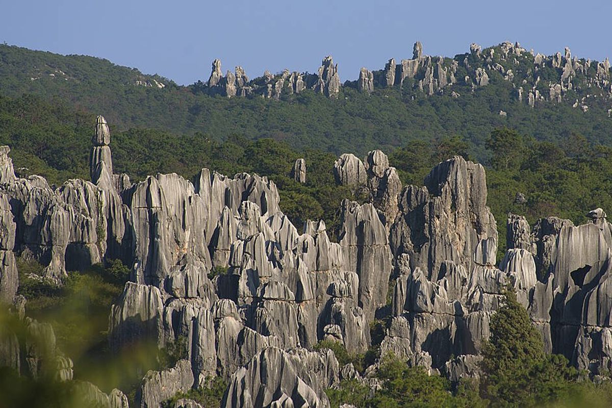 Giant sinkholes discovered containing untouched ancient forests