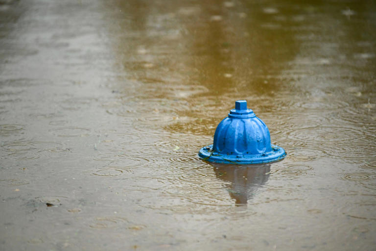 Latest on Knoxville, Gatlinburg, Pigeon Forge, East Tennessee flood ... Latest on Knoxville, Gatlinburg, Pigeon Forge, East Tennessee flood ...