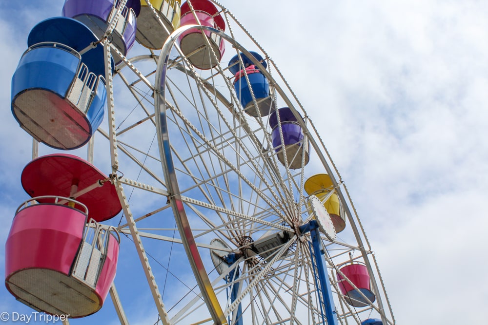 Discover the Top County Fairs in Minnesota You Can't Miss