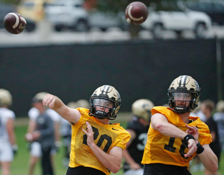 'Every one of them can play': Purdue football QB coach excited about ...