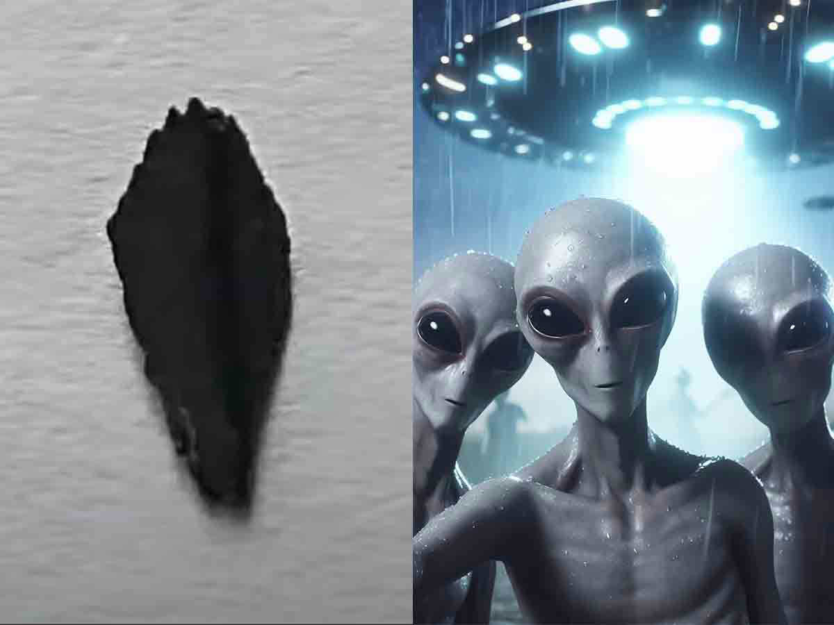 Cazadores de ovnis aseguran tener restos de una nave espacial ... Cazadores de ovnis aseguran tener restos de una nave espacial ...