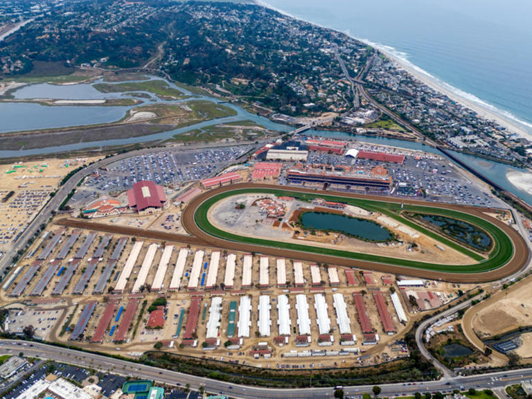 Breeders' Cup Forum: Josh Rubinstein, President And Chief Operating ...