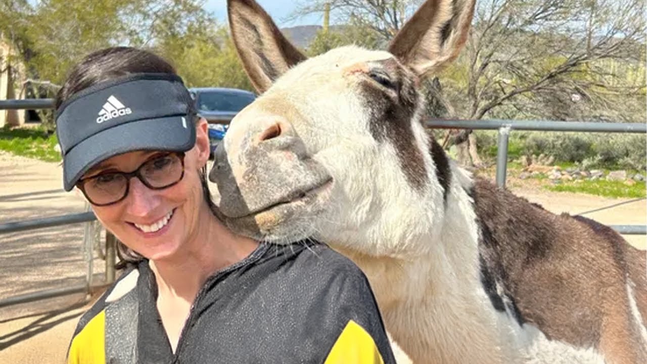 Funny animal videos that remind us what love really means