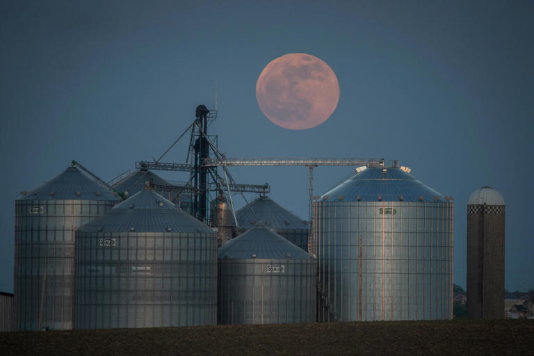 When's the next full moon, blood moon in 2024? When to keep an eye in ...