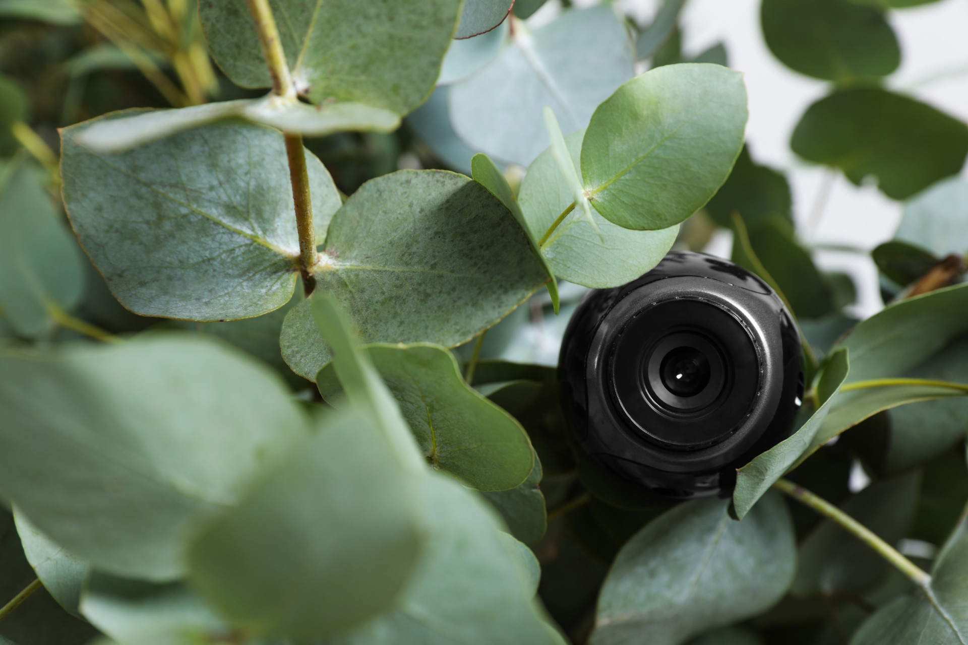 How to detect hidden cameras in your hotel room or rental home
