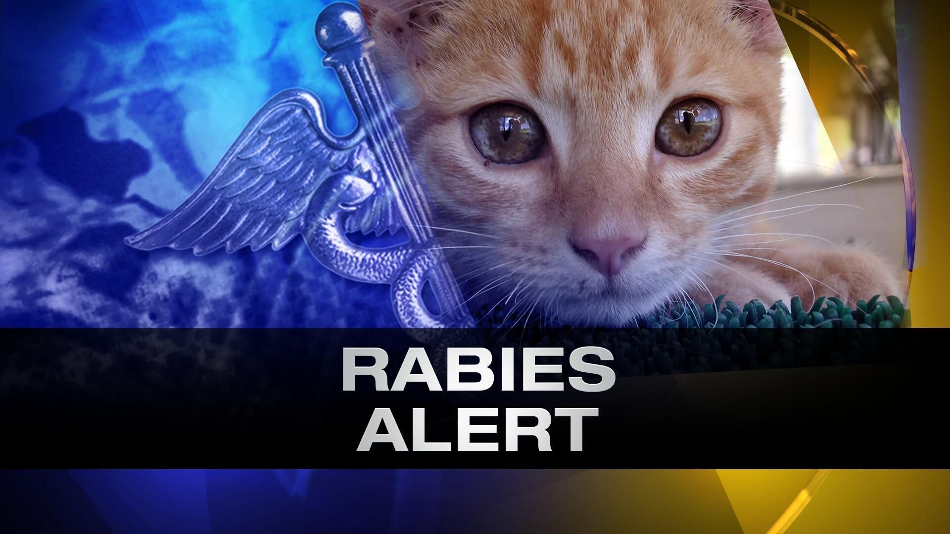 A rabies advisory has been issued by the DOH for Volusia County