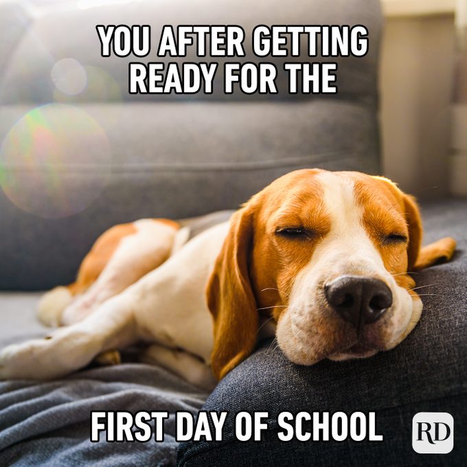 40 Back-to-School Memes That’ll Crack You Up