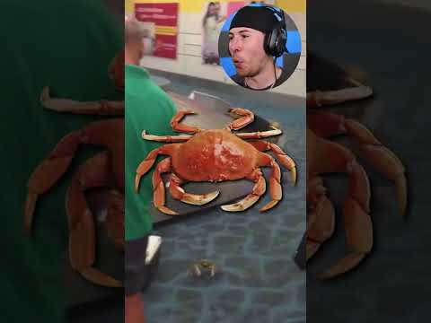 People Having A Really Bad Day—Relatable Mishaps