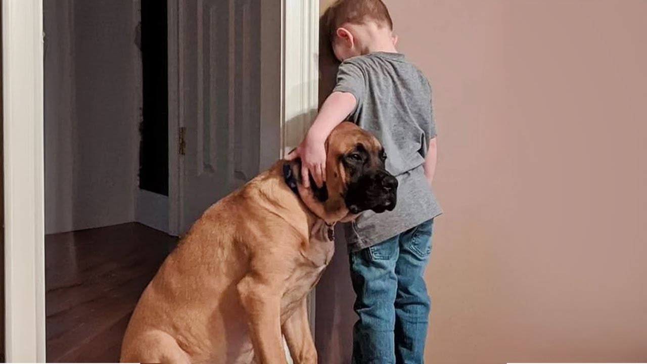 Some angels have fur instead of wings