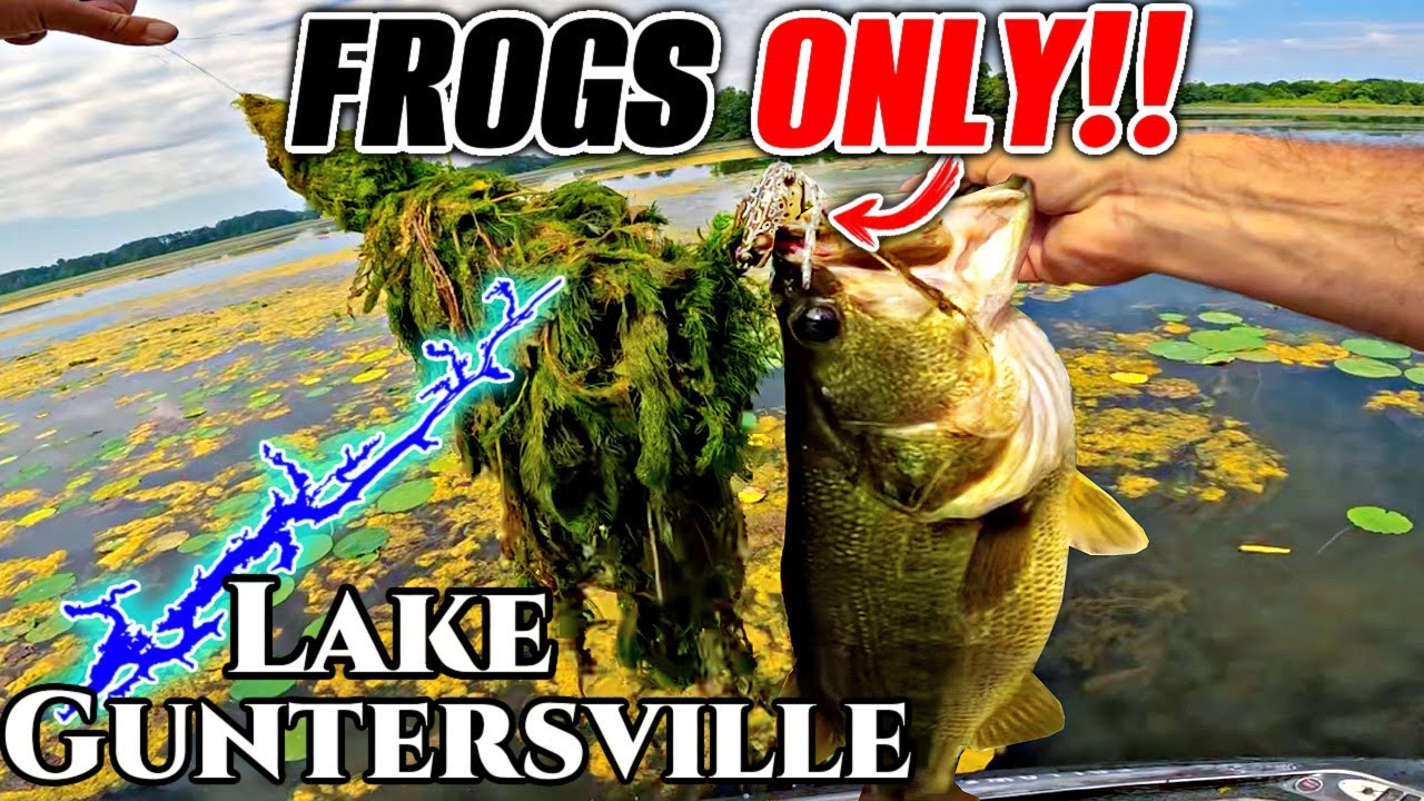 Fishing topwater frogs only for an entire day adventure