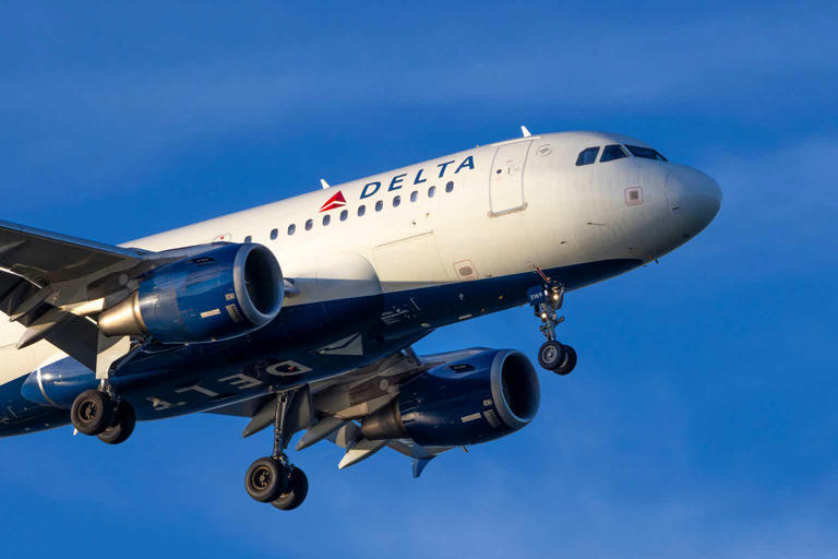 Delta Air Lines soars and leads the airline sector higher after issuing ...