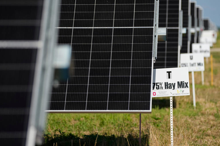 Madison County community officials embrace Fox Squirrel solar project