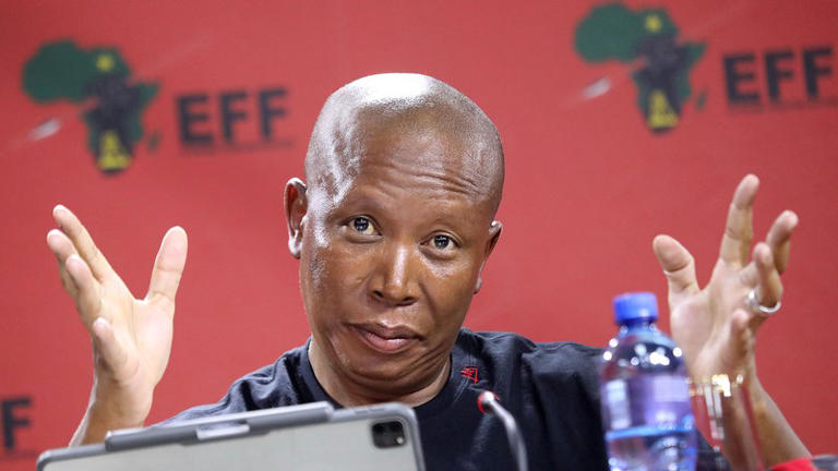 EFF to support ANC Gauteng against DA — Malema EFF to support ANC Gauteng against DA — Malema