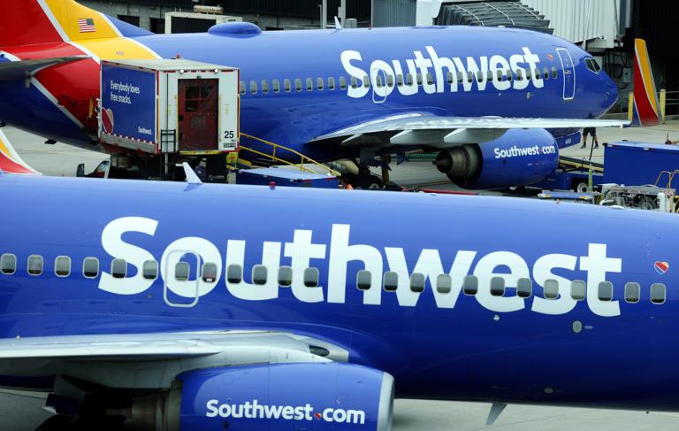 Smelly cat incident on a Southwest flight sparks debate about flying ...