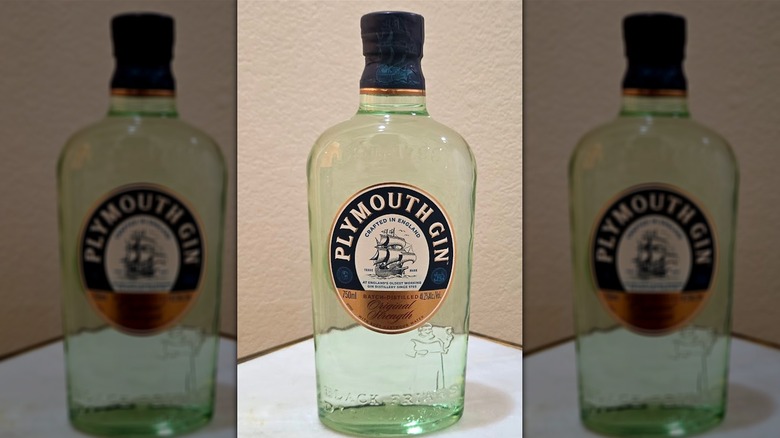 Plymouth Gin: The Ultimate Bottle Guide