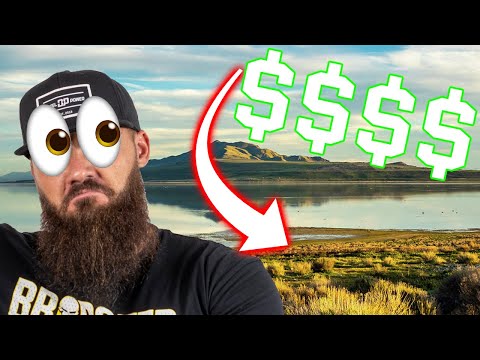 Behemoth Purchase—I Bought an Island