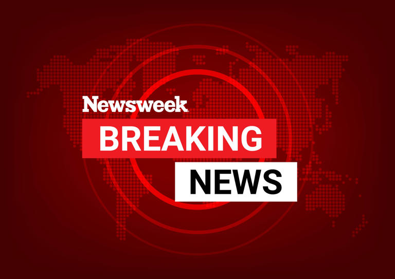 Josh Hawley launches LA riots investigation