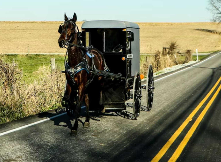 Hit-and-run: Amish horse-and-buggy driver injured, NYSP say