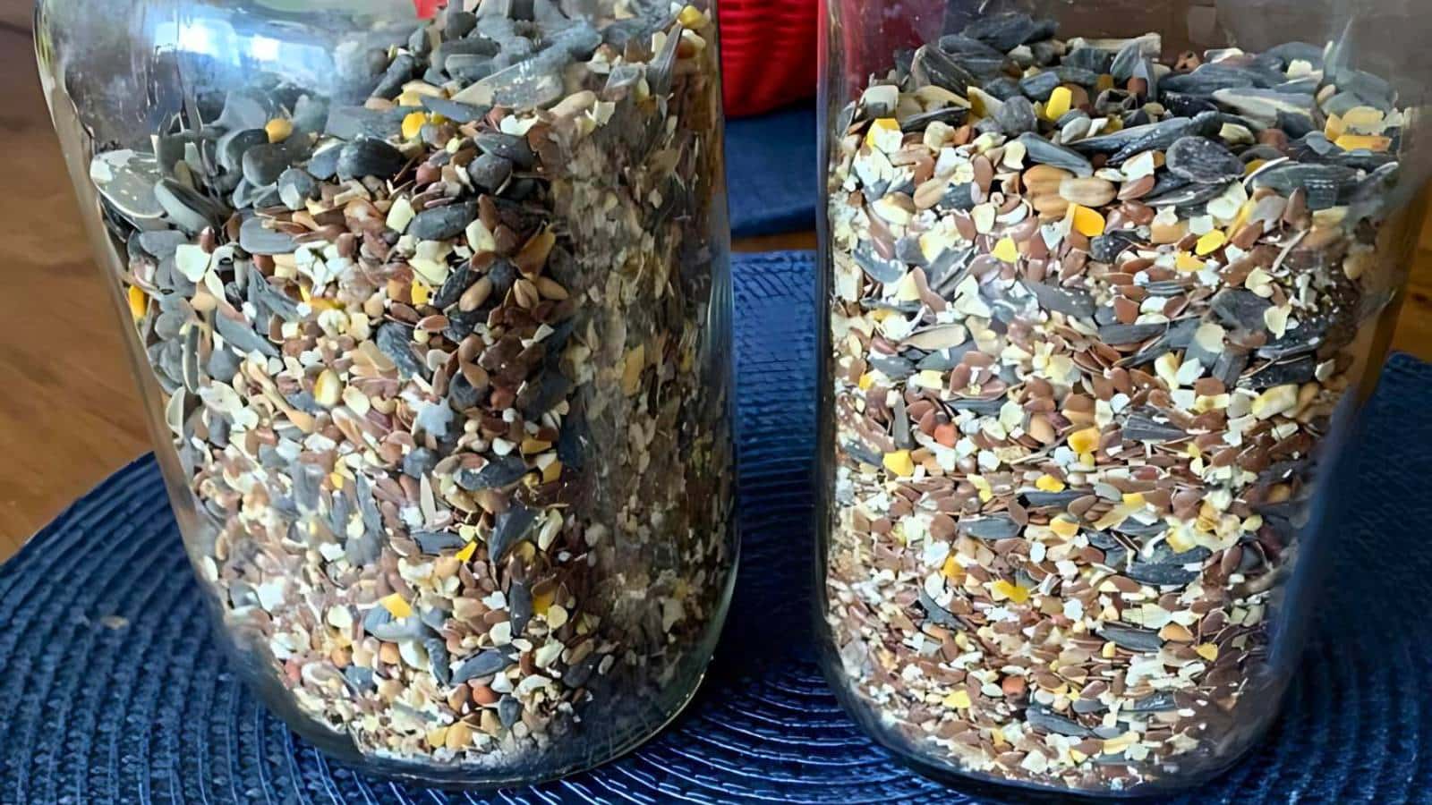 Chicken Care For Beginners That Take The Guesswork Out Of Raising Birds