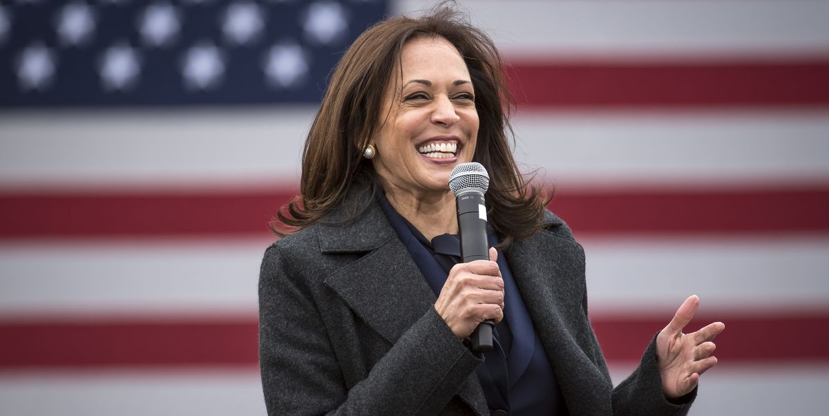 The Kamala Harris Coconut Tree Meme, Explained