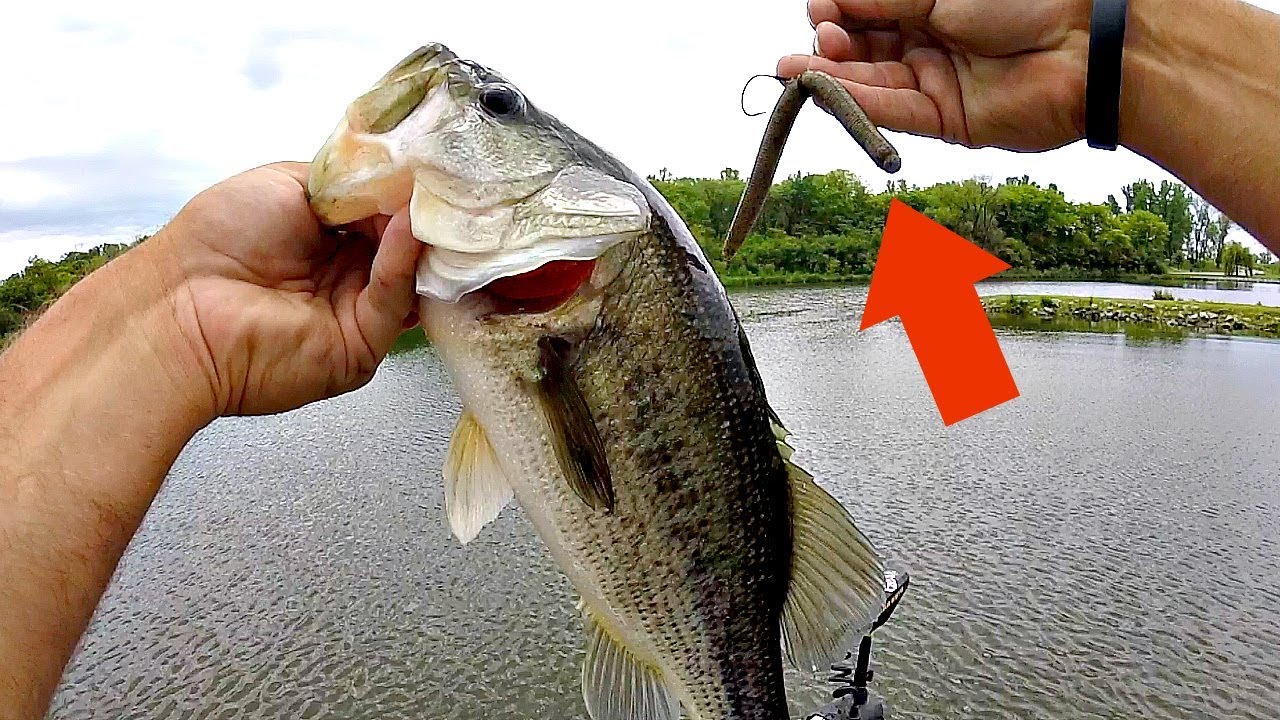 My FAVORITE new Finesse Rig SAVES THE DAY!!!