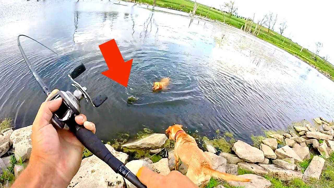 Nocturnal Nibbles: Unpredictable Night Fishing at a Pond