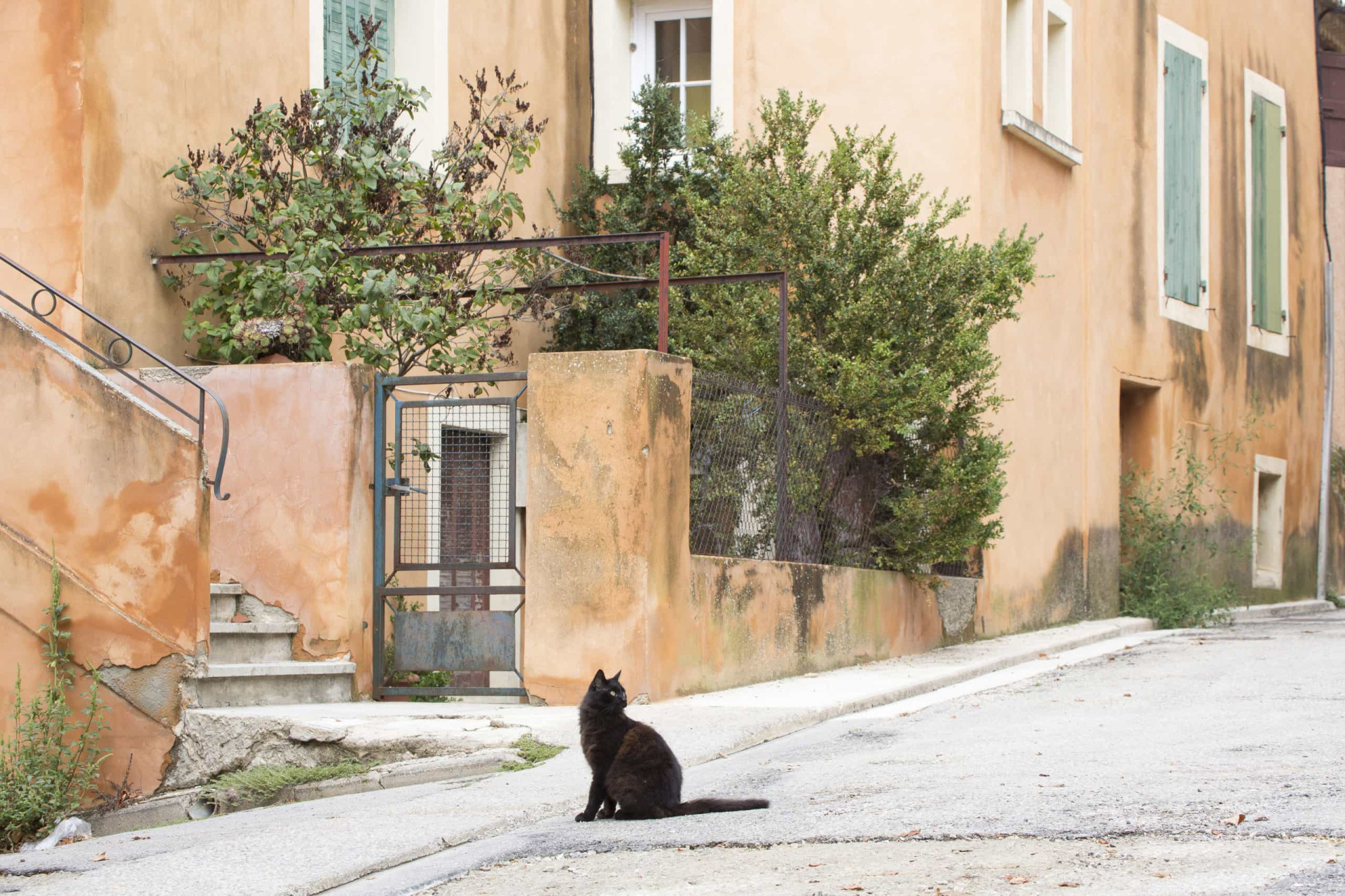 Sorte katte: Sandheden om din overtro