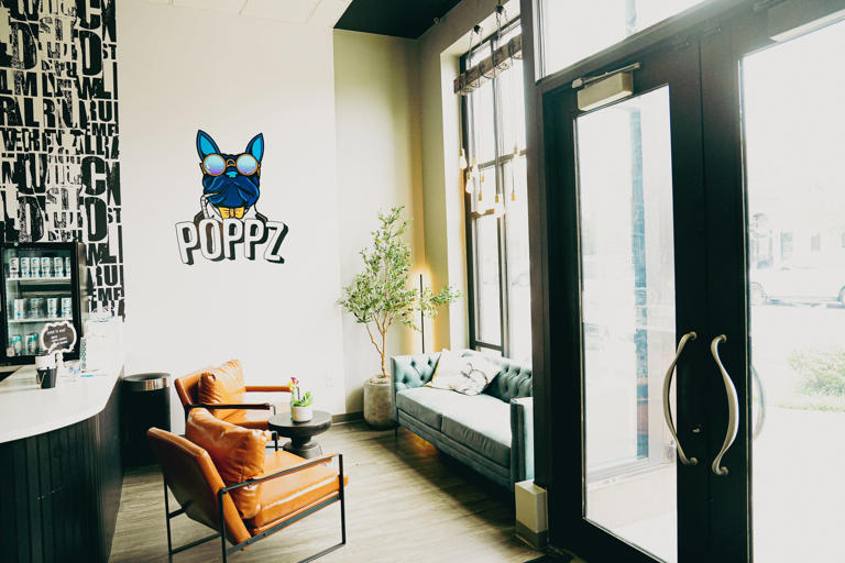 Breakfast, lunch and drinks, oh my! A complete guide to Memphis Black ...