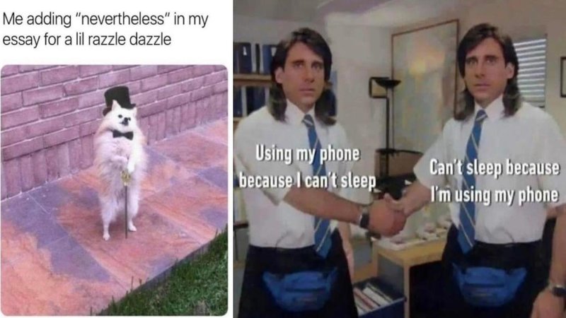 24 Relatable Memes For A Glimpse At The Lives Of Your Fellow Humans